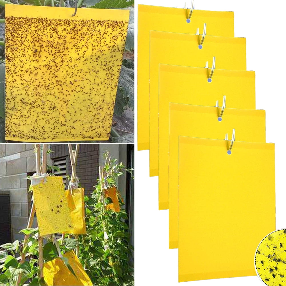 MLFU 20-Sheet Insect Sticky Traps for Plants, Fruit Fly Sticky Traps ...