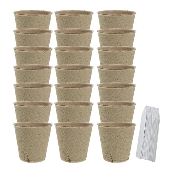 Cardboard Plant Pots