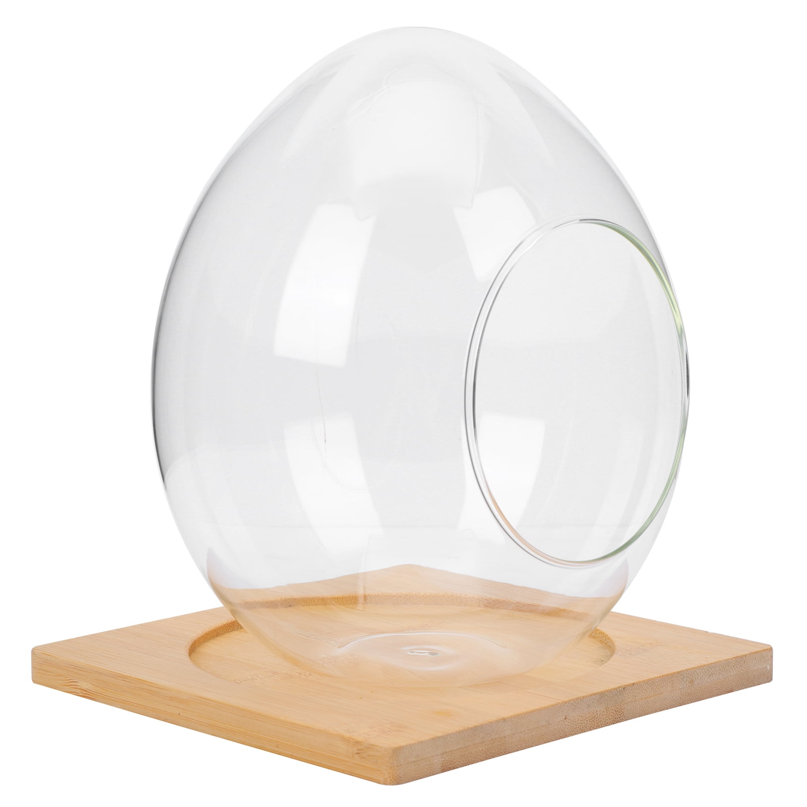 MLINS 1 Set Glass Ecological Terrarium with Wooden Base Green Succulent ...