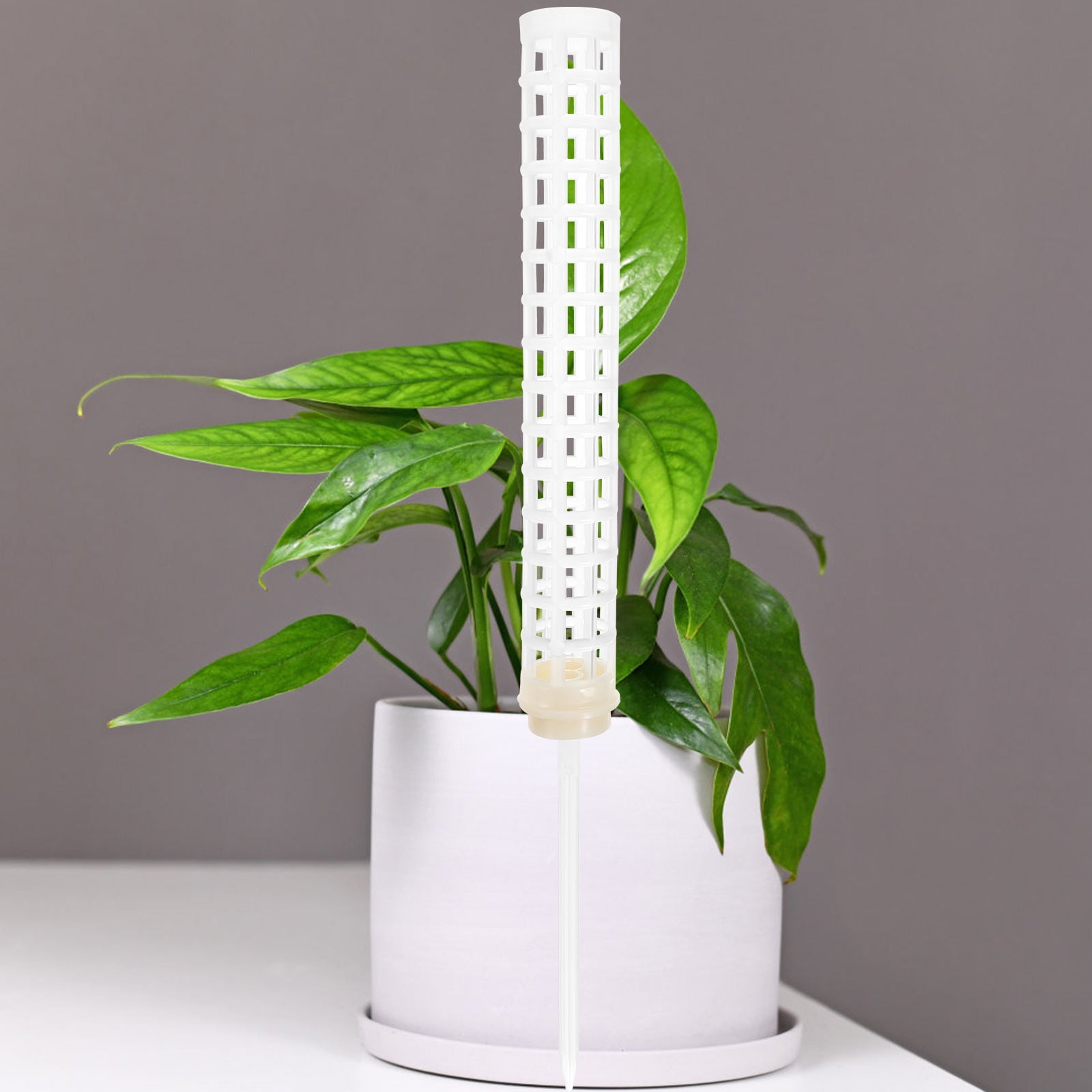 MLINS 1 Set Plant Climbing Column Climbing Plants Supporting Column ...