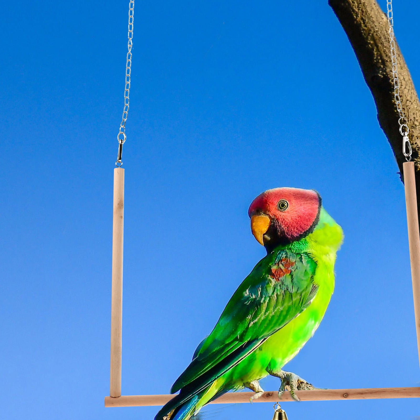 MLINS 1 Set Wooden Bird Perch Stand Practical Bird Hanging Swing Toy ...