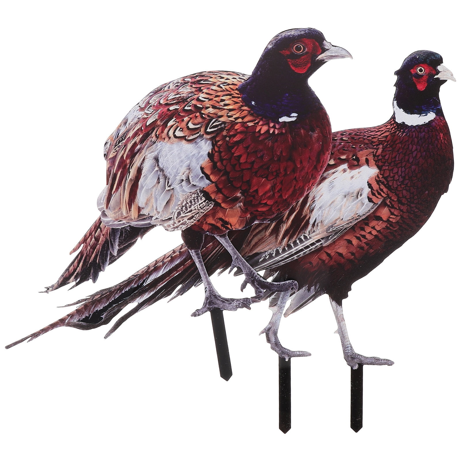 MLINS 10 Pcs Acrylic Garden Pheasant Stake Decor Pheasant Yard Sign ...