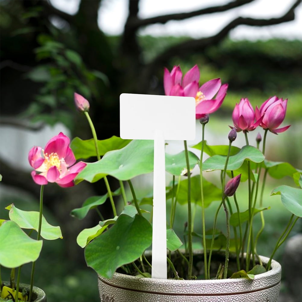 MLINS 10 Pcs Gardening Signage Nursery Label Signs for Tree Vegetables ...