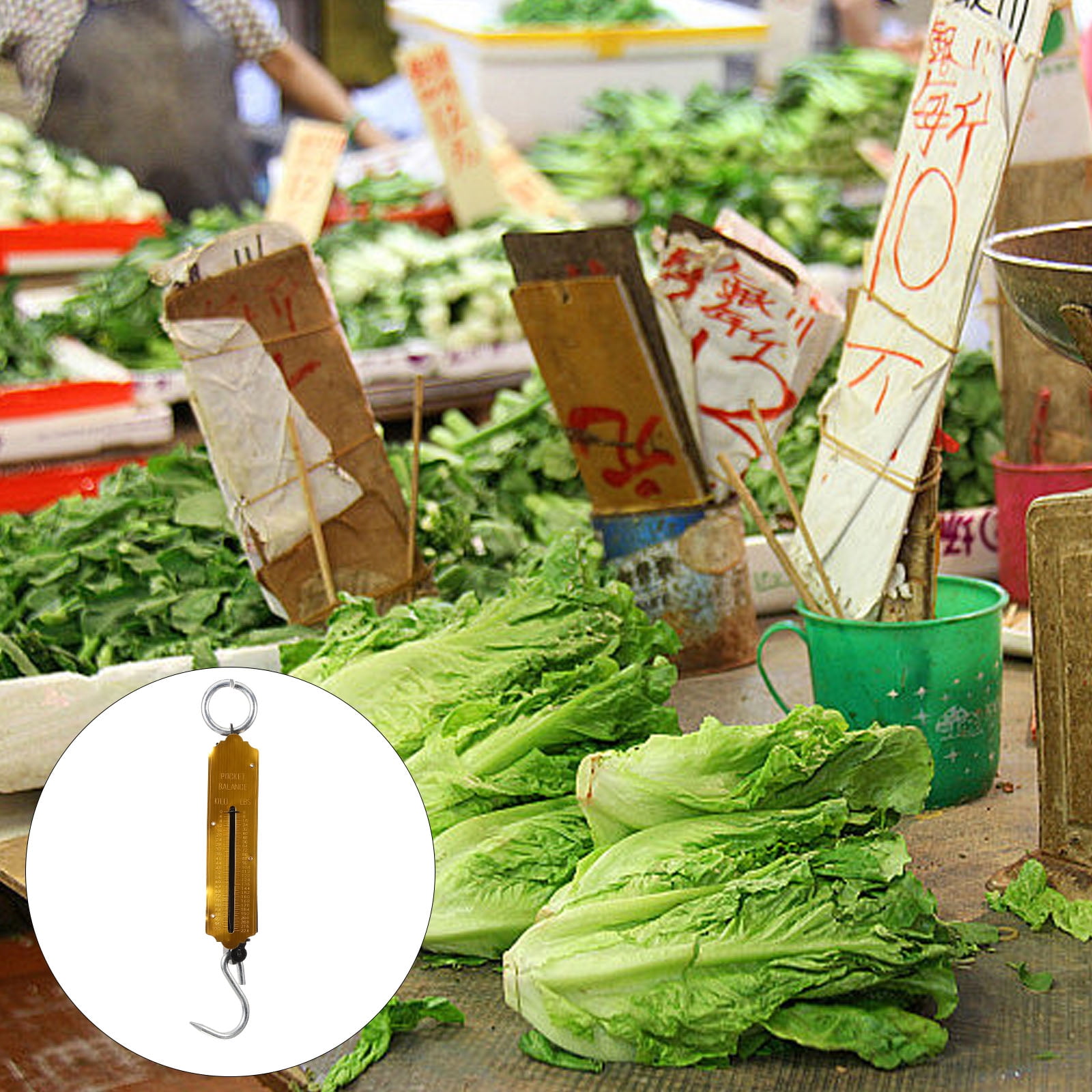 MLINS 100KG Portable Vertical Spring Weighing Scale for Selling ...