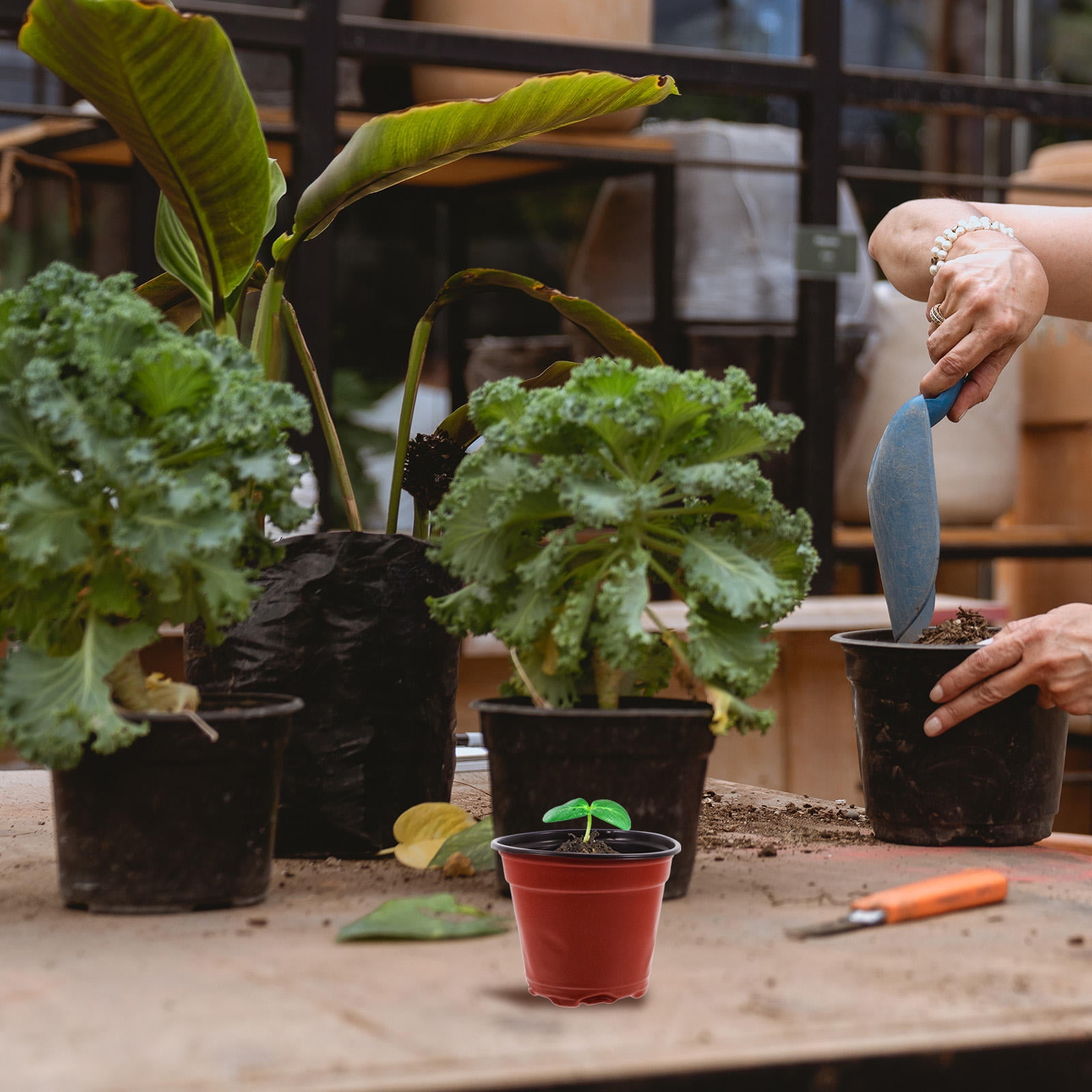 MLINS 100pcs Widelyused Plant Nursery Pot Plastic Gardening Nutrient ...