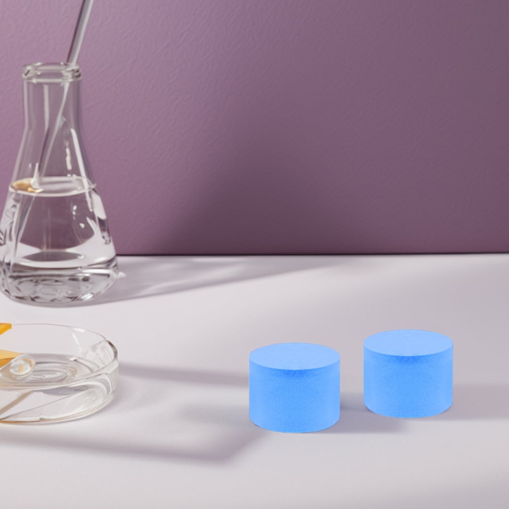 MLINS 10PCS Ants Farm Plugs Ants Habitat Moisture Feeding Sponge Plug ...