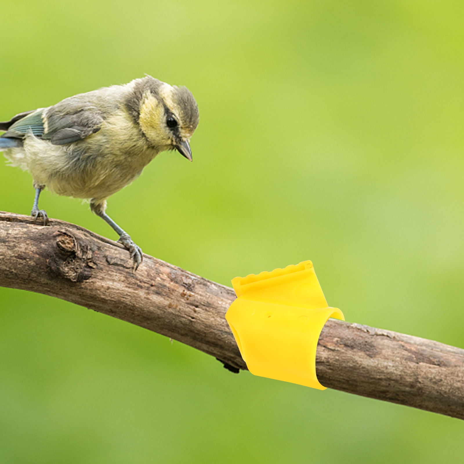 MLINS 10pcs Tree Growing Support Fixer Practical Tree Windproof Fixing ...