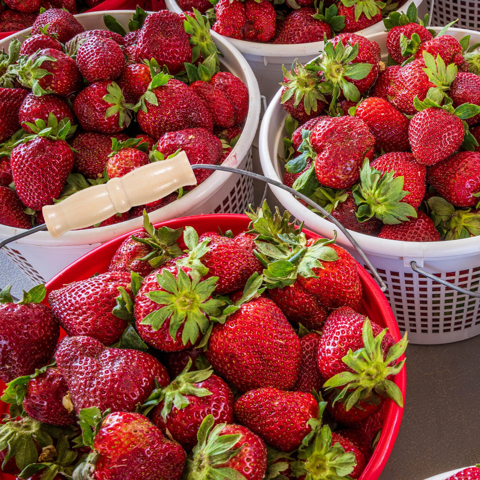 MLINS 10pcs Wooden Handle Pail Grip For Water Buckets Ergonomic ...