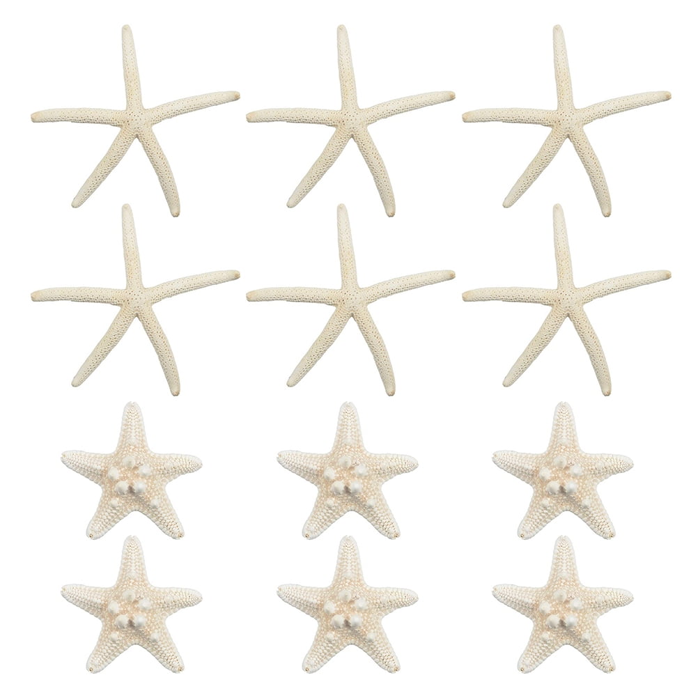 MLINS 12 Pcs DIY Sea Star Crafts Natural Sea Star Decorations Ocean ...