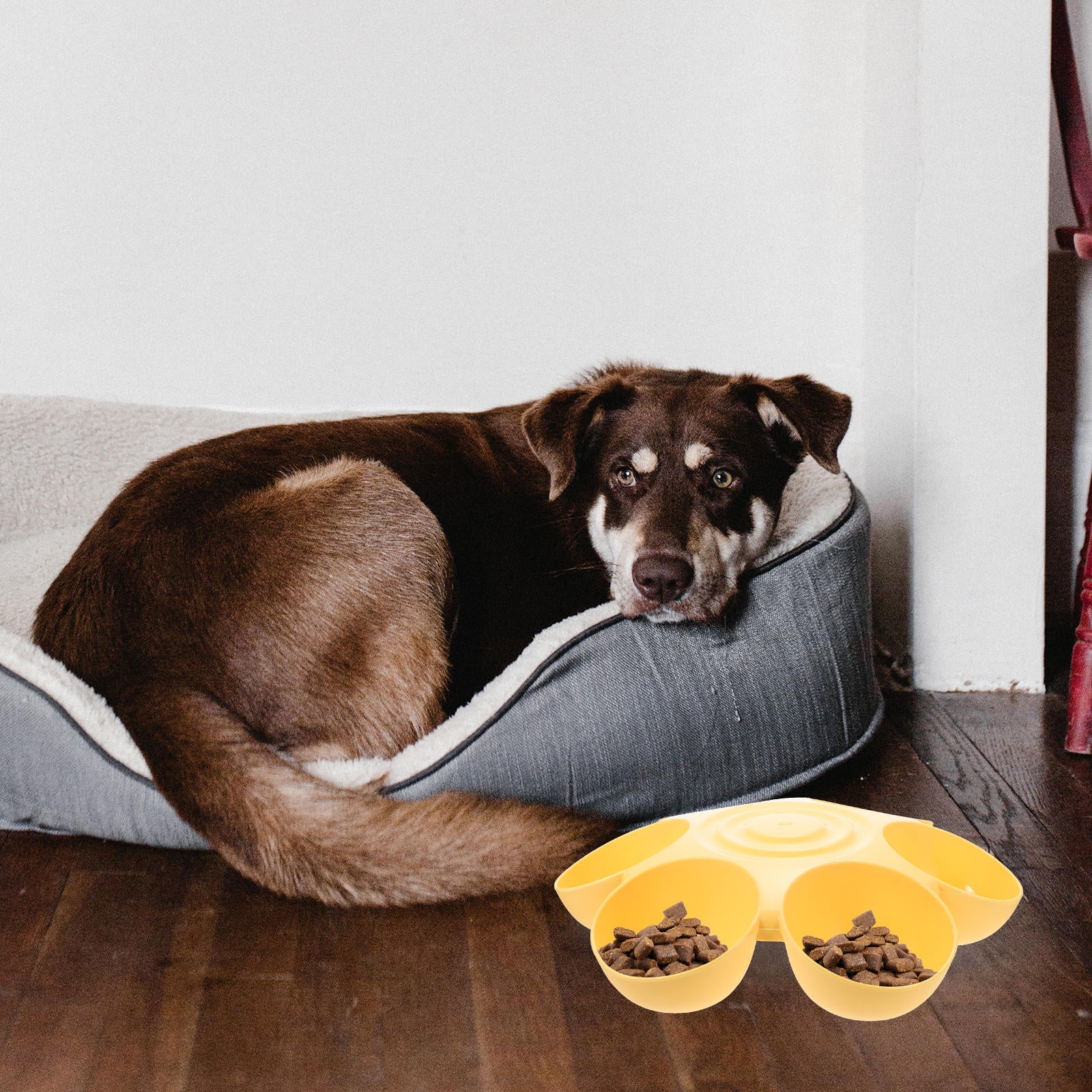 MLINS 1Set Yellow Cat Food Dish with Contemporary Design for Pet Owners ...