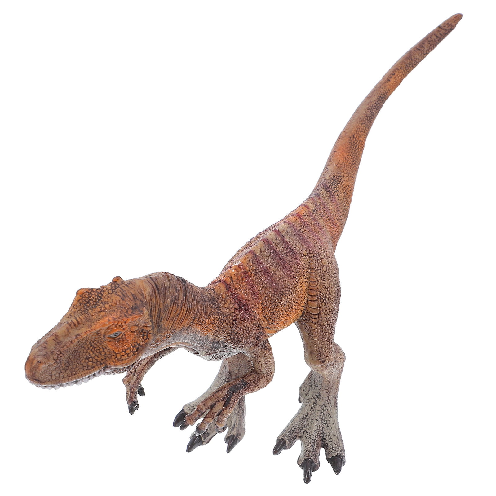 MLINS 1pc Dinosaur Toy PVC Period Allosaurus Dinosaur Model Toy for ...