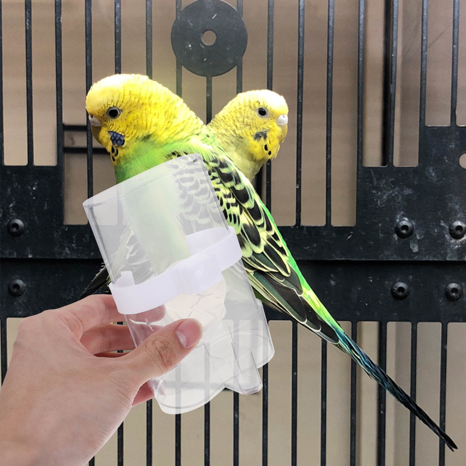 MLINS 2 Pcs Parrot Feeder Bird Feeders for Outdoors Hanging No Mess ...