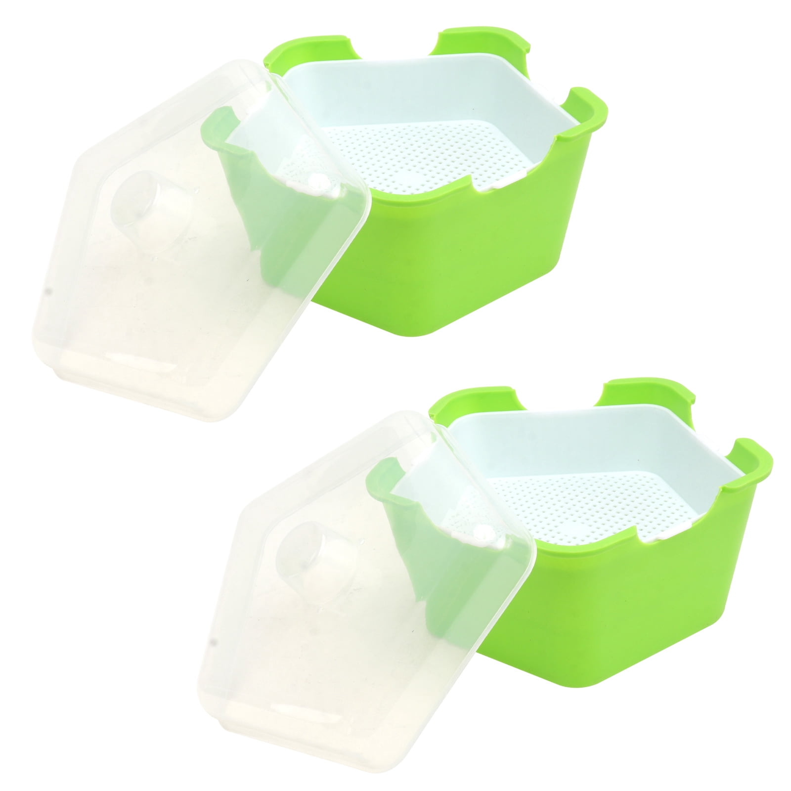 MLINS 2 Sets Simple Seedlings Tray Growing Wheatgrass Child Green ...