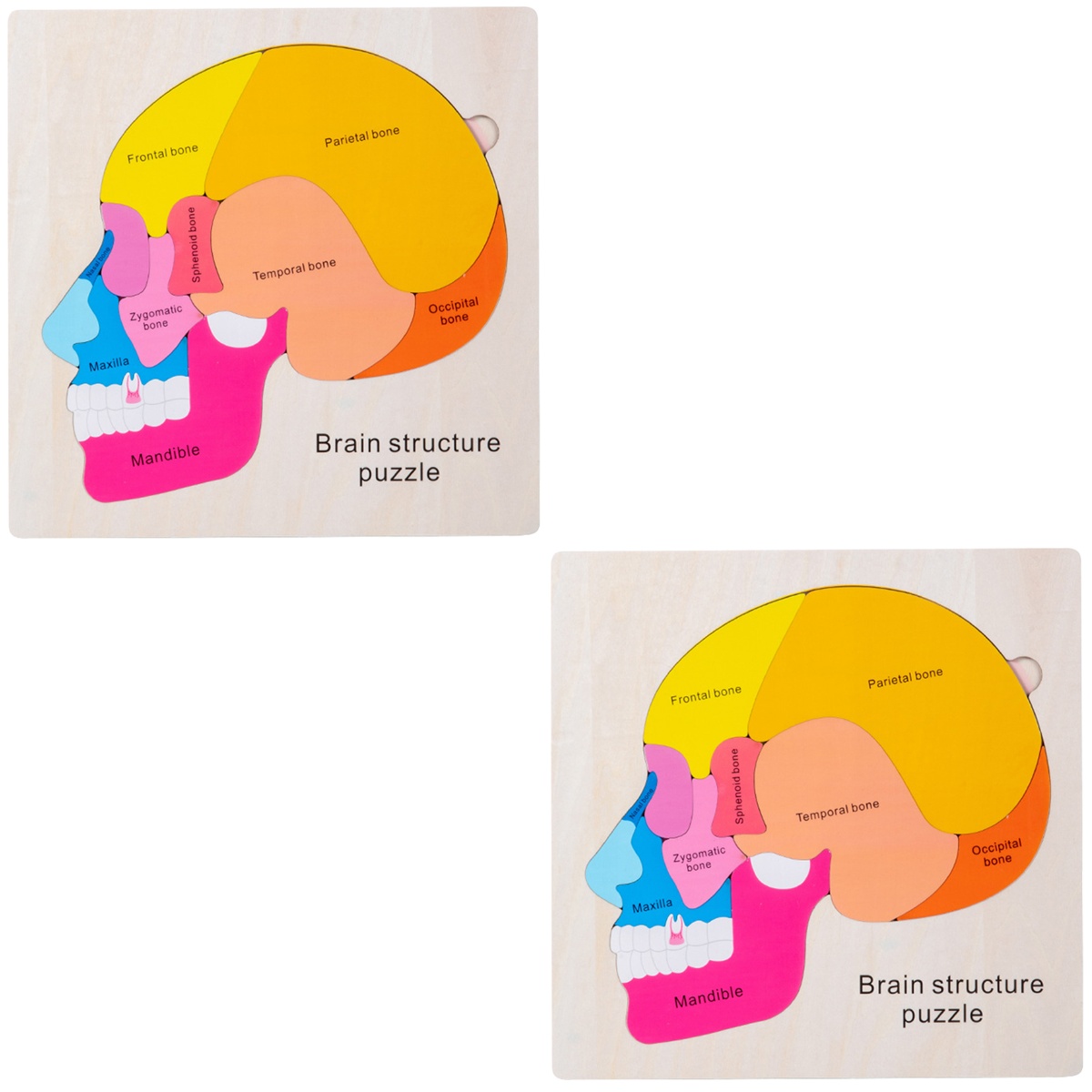 MLINS 2 Sets of Brain Puzzle for Kids Wooden Brain Structure Puzzle ...