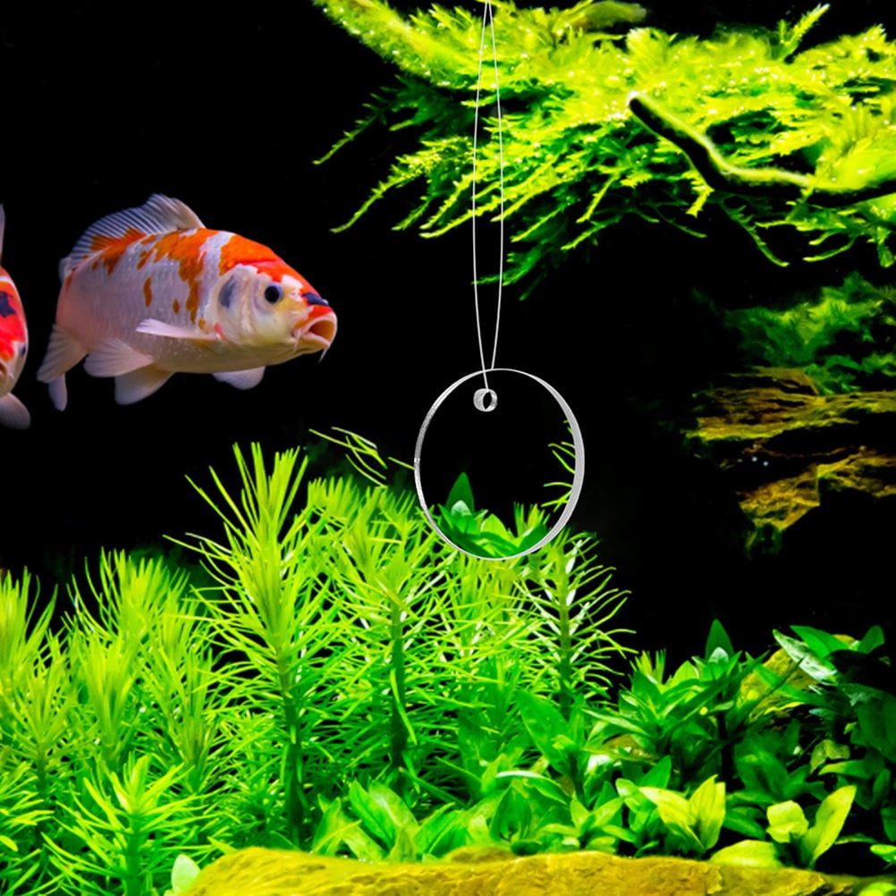 MLINS MLINS 2 sets Betta Fish Exercise Mirror for Fish Tank Training ...