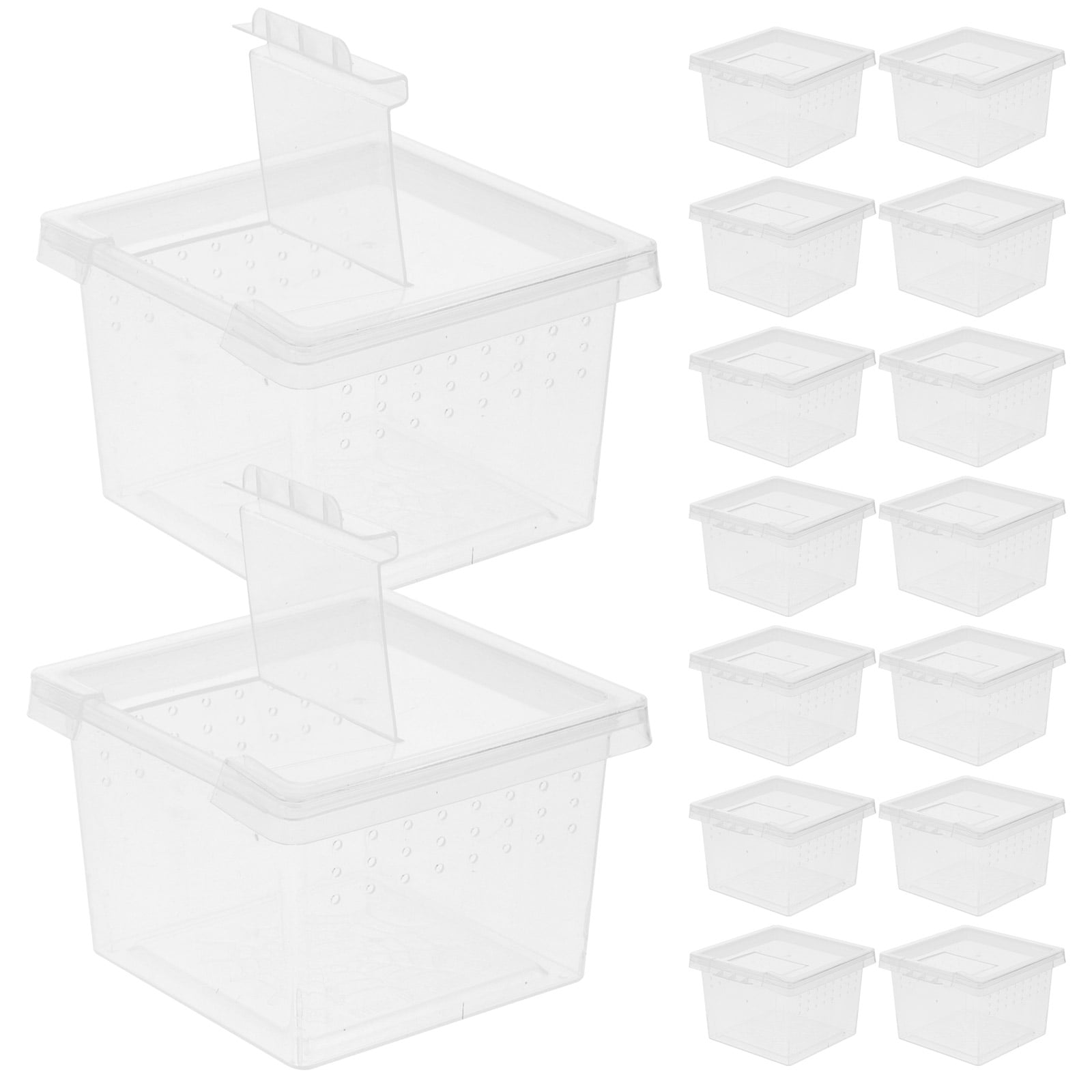 MLINS 20 Pcs Insect Observation Box Guinea Pig Tunnel Bed Tarantula ...