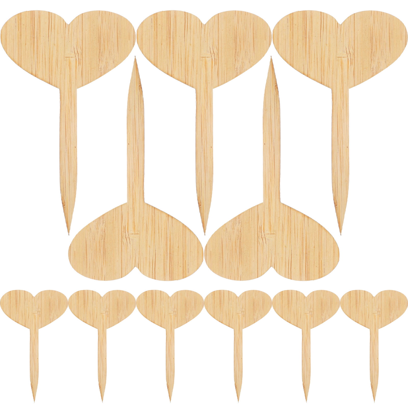 MLINS 20 Pcs Markers Succulent Labels Plant Identification Signs Indoor ...