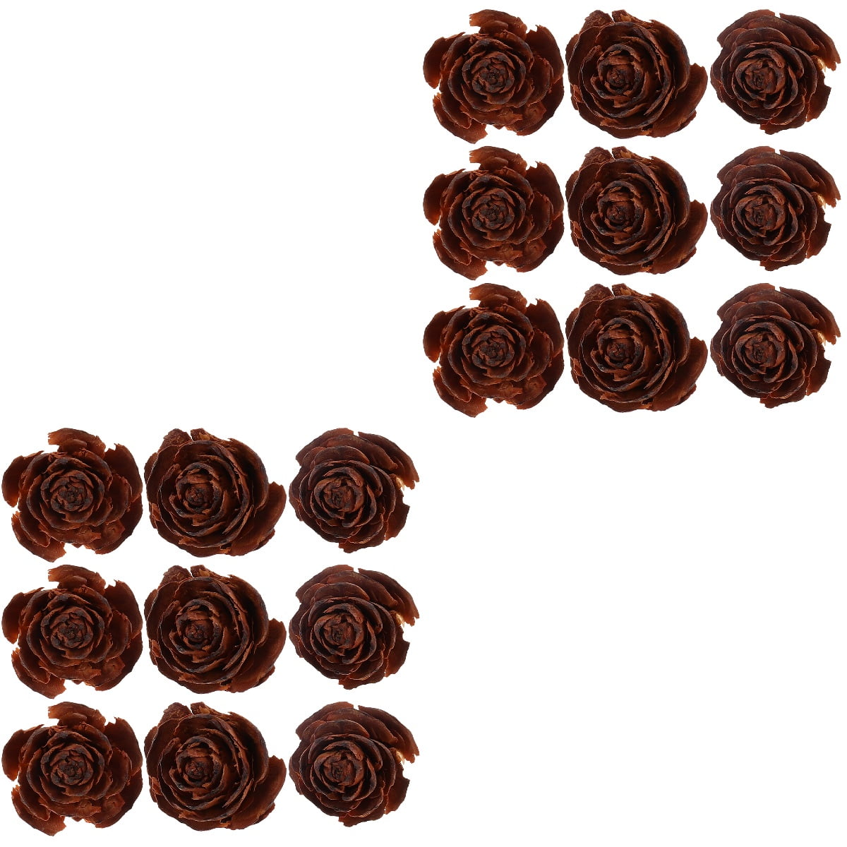 MLINS 20 pcs Dried Flower Specimen Natural Dried Flower Art Craft Dried ...