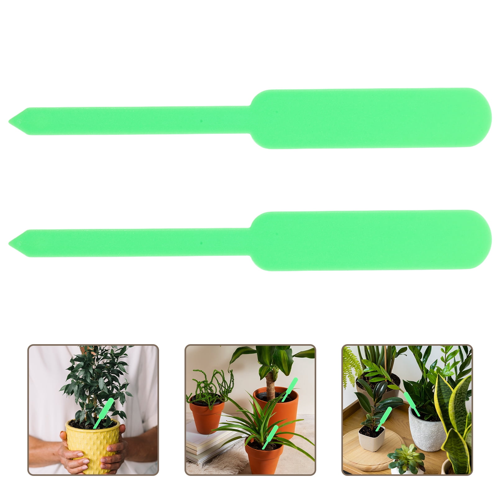 MLINS 200pcs Garden Plant Labels for Succulents and Potted Plants ...