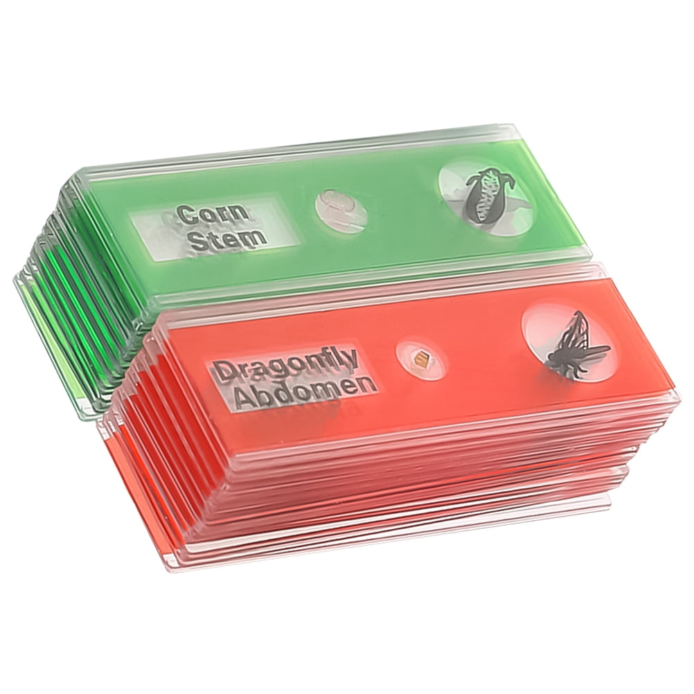 MLINS 24Pcs Microscope Slide Children's Plastic Biological Slide ...
