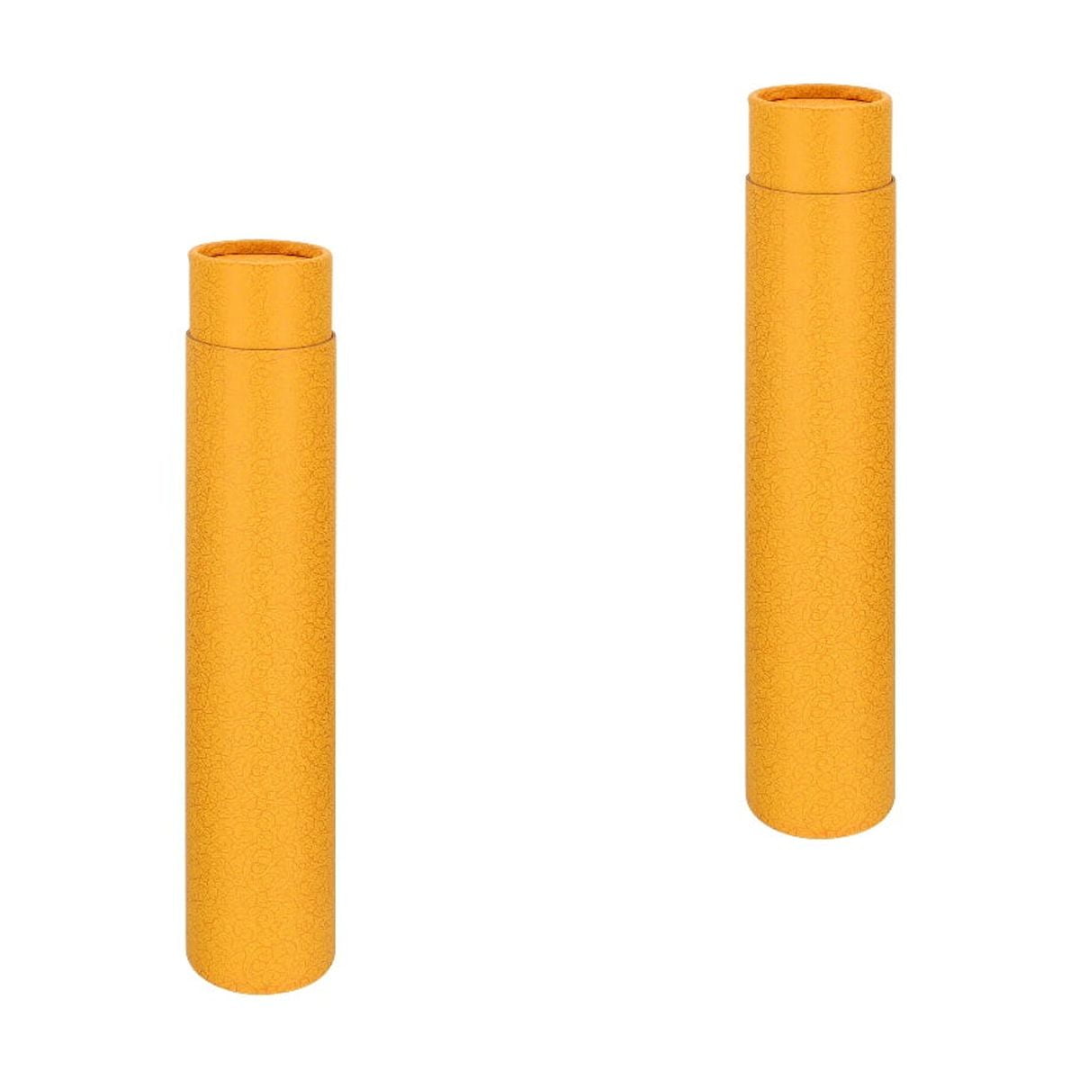 MLINS 2pcs Telescopic Poster Tube Paper Mailing Storage Tube Drawing ...