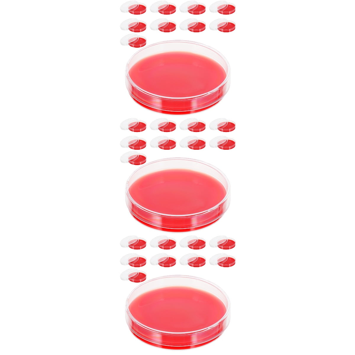 MLINS 30 pcs Infusion Agar Plates Blood Agar Culture Medium Laboratory ...