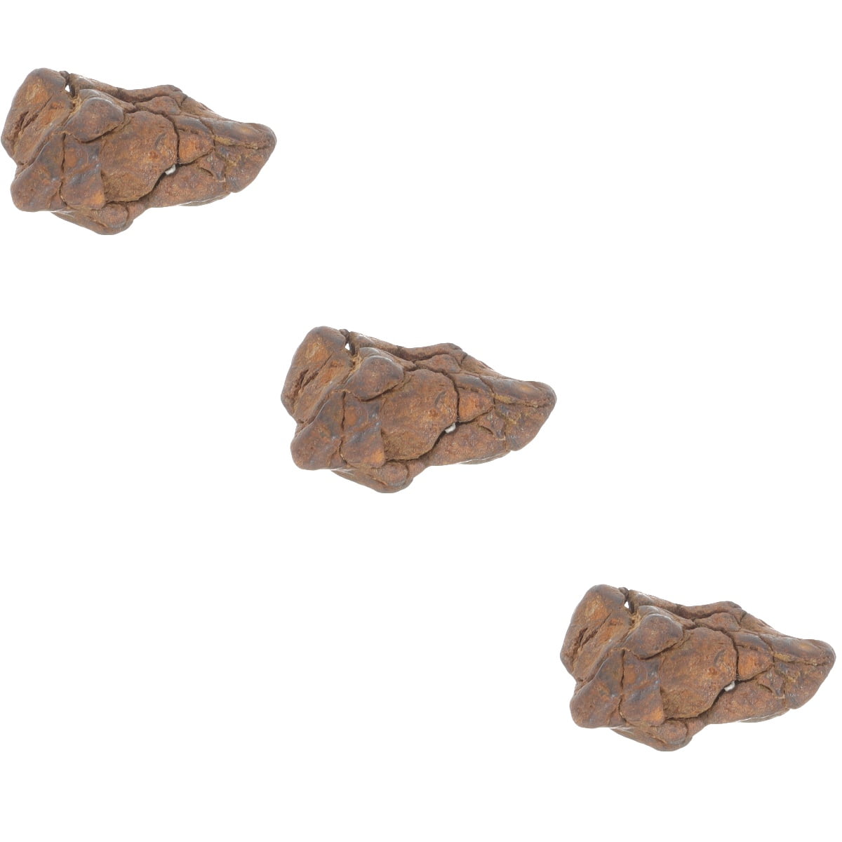 Milisten Meteorolite Model Meteorite Science Model 3Set 1x0.6in ...