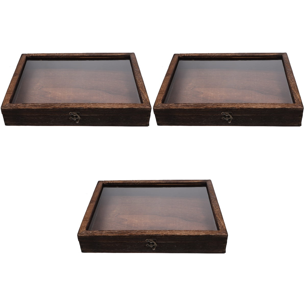 MLINS 3pcs Specimen Display Box Collection Box Display Box Specimen ...