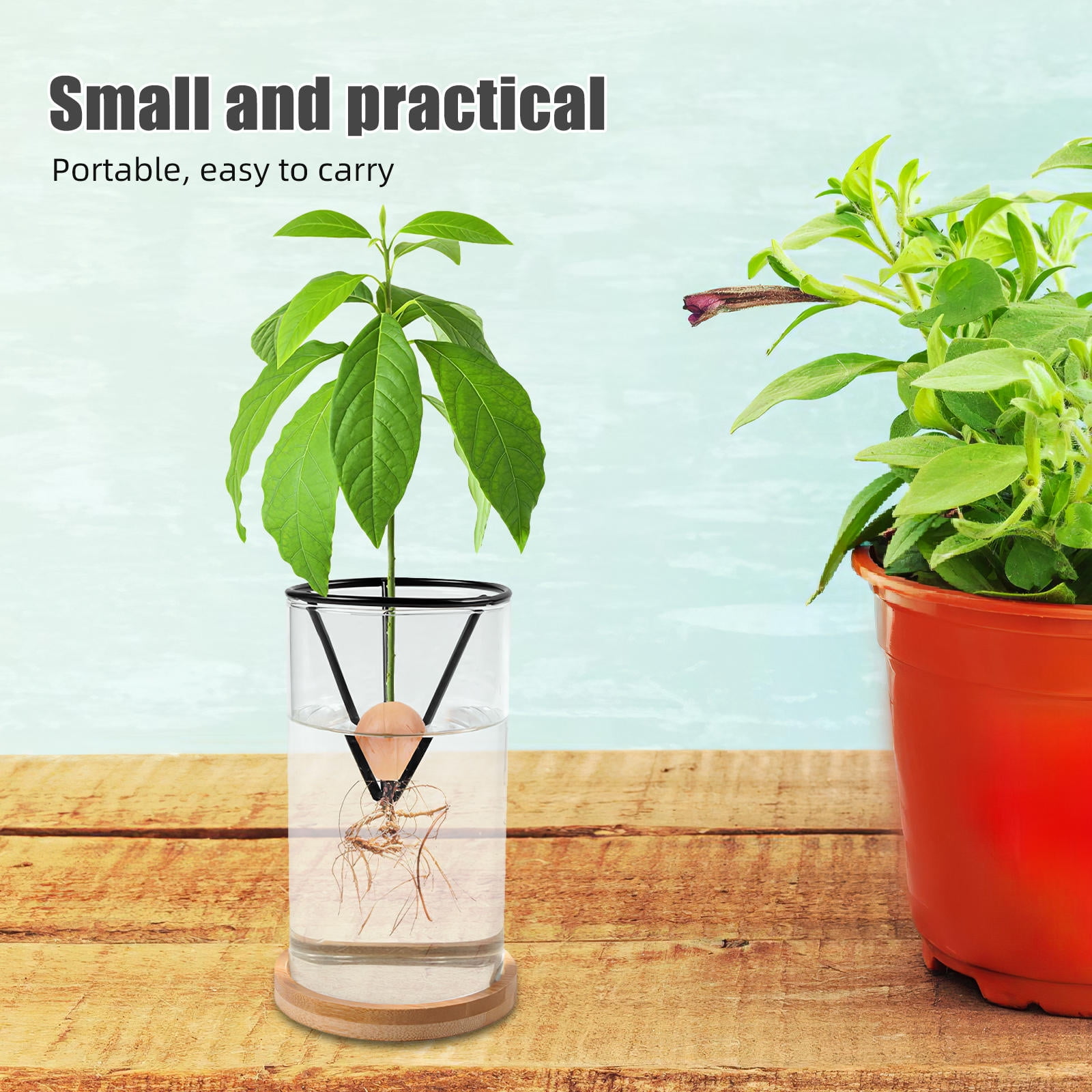 MLINS 4PCS Fruit Starters Rack Metal Triangular Fruits Tree Growing ...