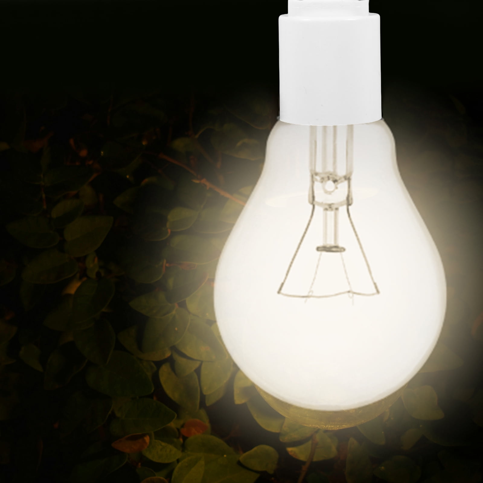 MLINS 4pcs G24q To E27 Bulb Socket Adapter Light Socket Adapter ...