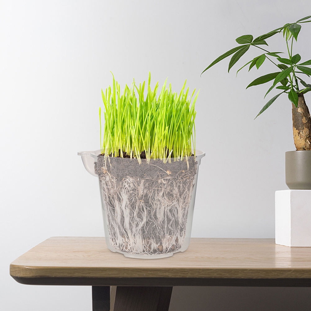 MLINS 4pcs Selfpriming Flower Pot Selfwatering Container Orchid ...