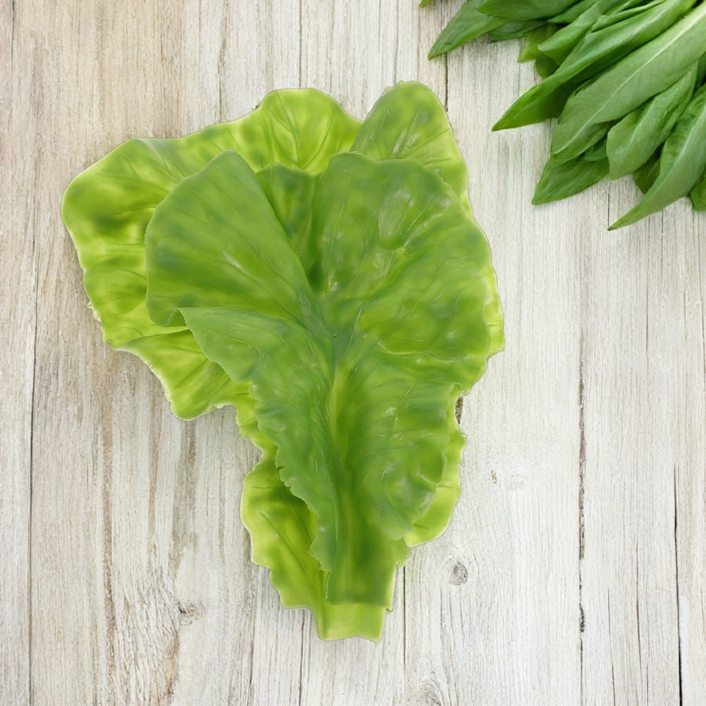 MLINS 4pcs Simulation Lettuce Leaf Models Lifelike Fake Vegetables for ...