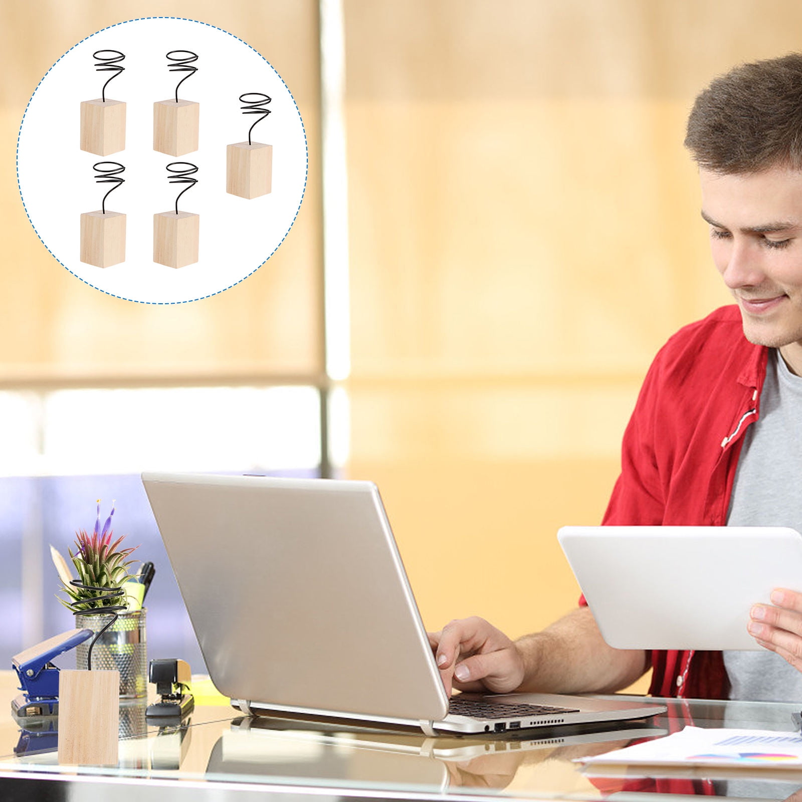 MLINS 5 Pcs Air Pineapple Rack Plant Display Stand Tabletop Container ...