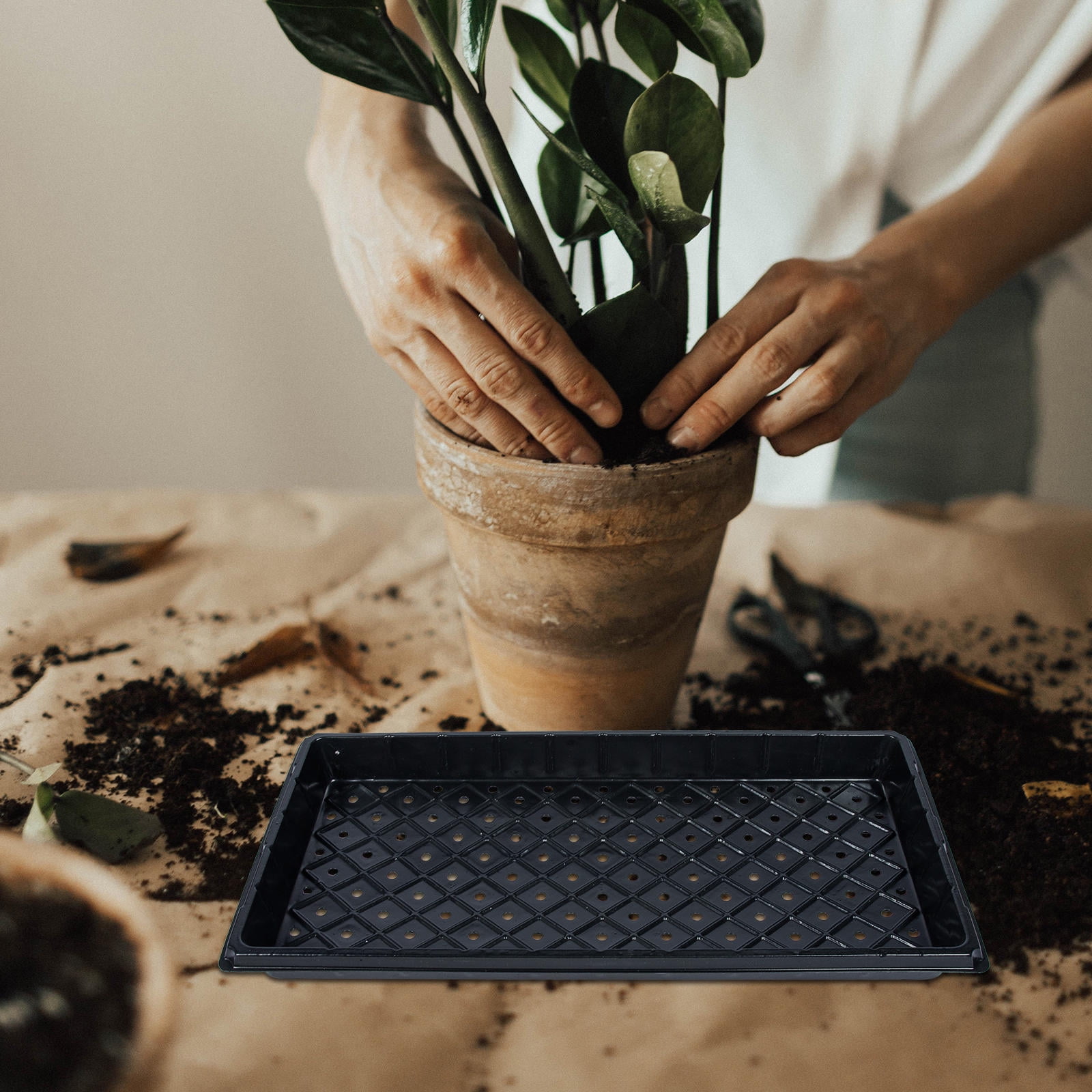 MLINS 5 Sets Planter Tray Growing Plate Trays Clear Nursery Pots for ...