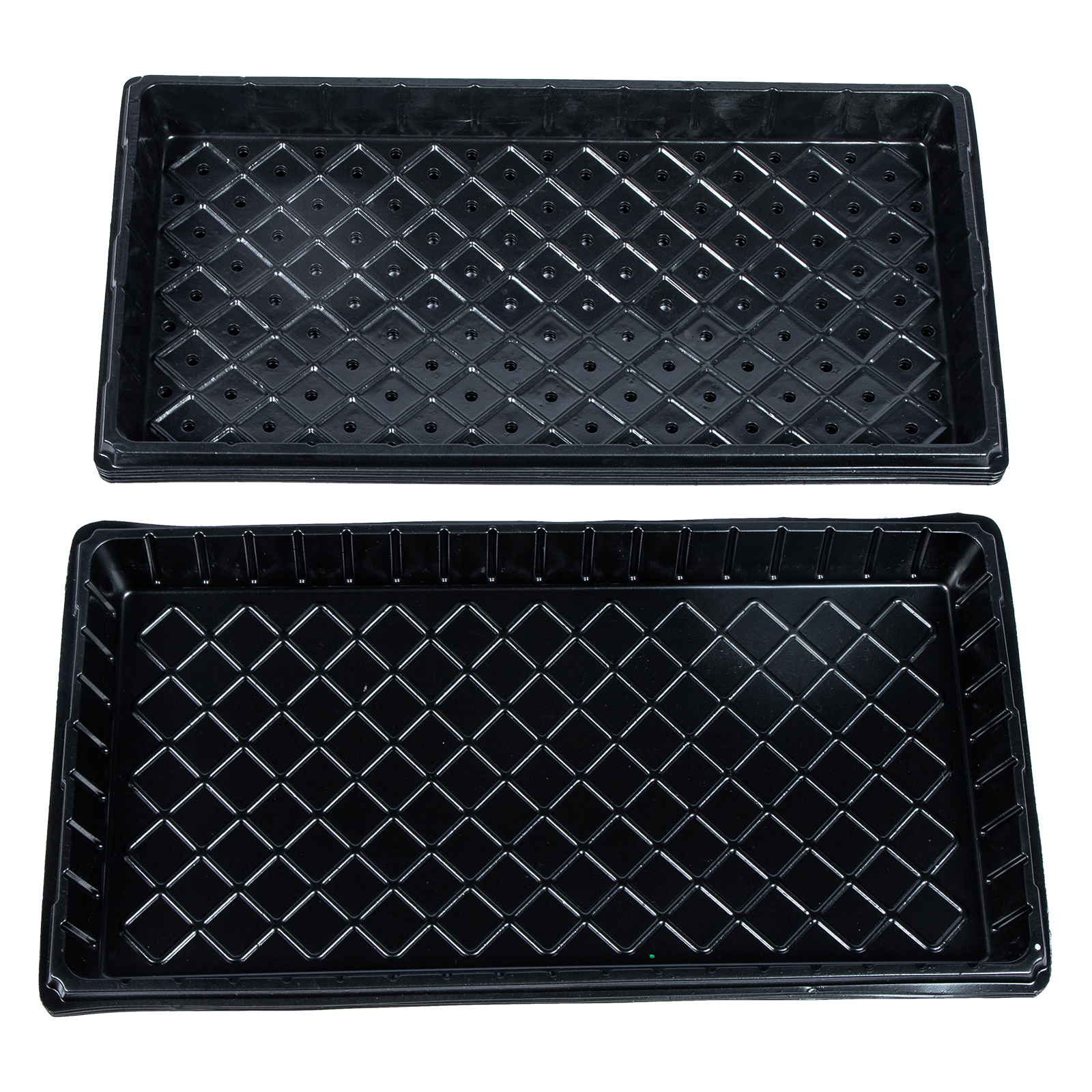 MLINS 5 Sets Plate Dish Seedling Tray Chive Sprouting Plants Succulent ...