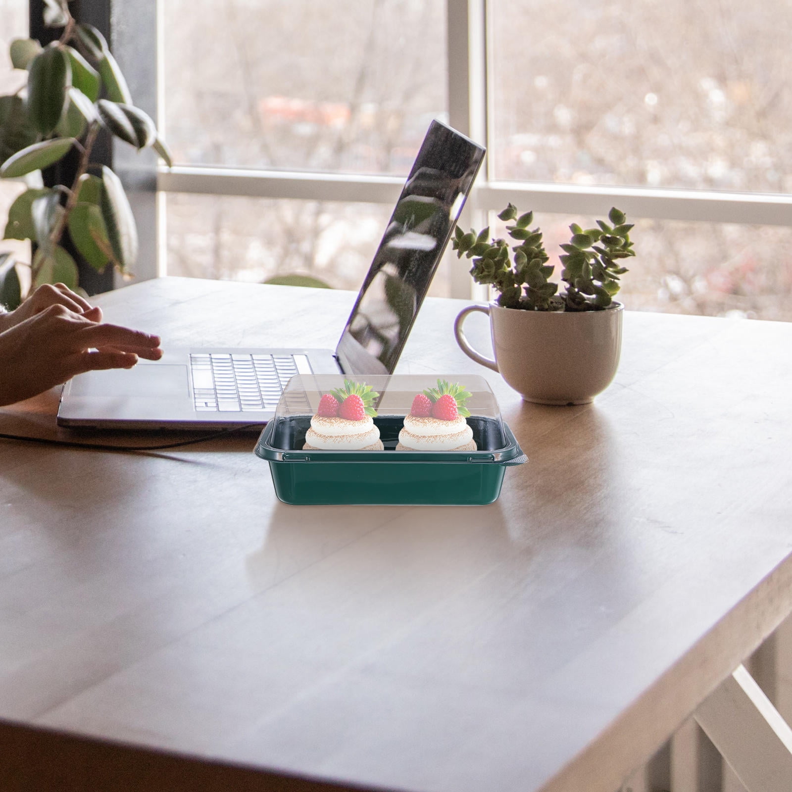 MLINS 50pcs Clear Cake Containers Food Dish Tray with Lids Transparent ...