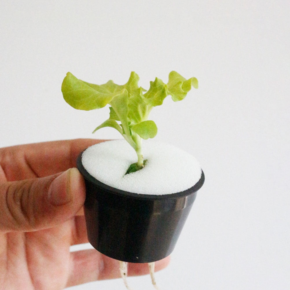 MLINS 55Pcs Planting Sponges Soilless Cultivation Hydroponics Sponges ...