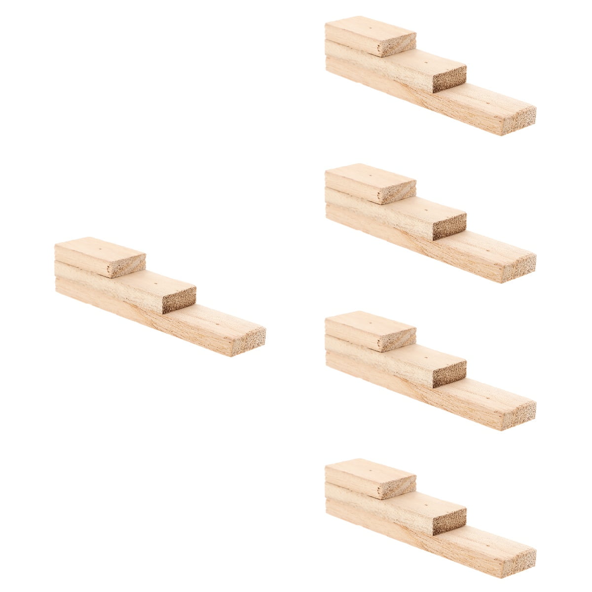 MLINS 5pcs Wooden Specimen Pinning Specimen Storage Holder Specimen ...