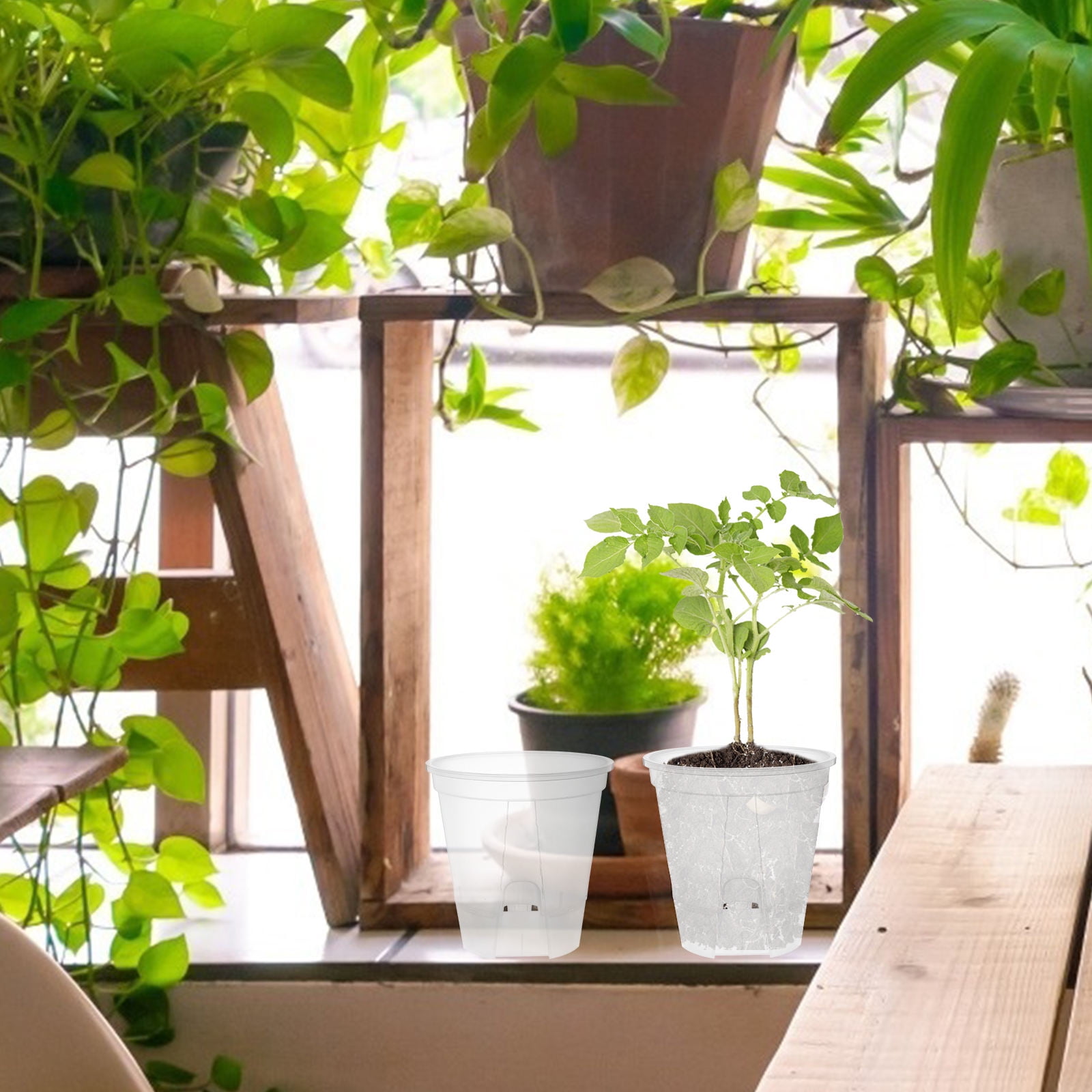 MLINS 6 PCS Clear Planter Pots with Drainage for Plants Transparent ...