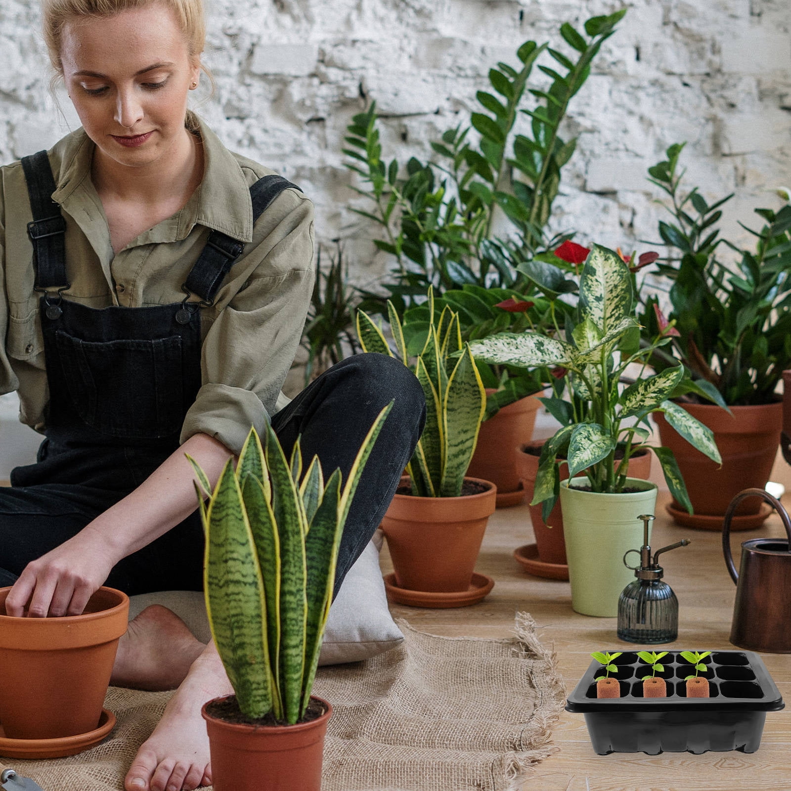 MLINS 6 Pcs Seedling Box Plant Germination Tray Greenhouse Starter ...