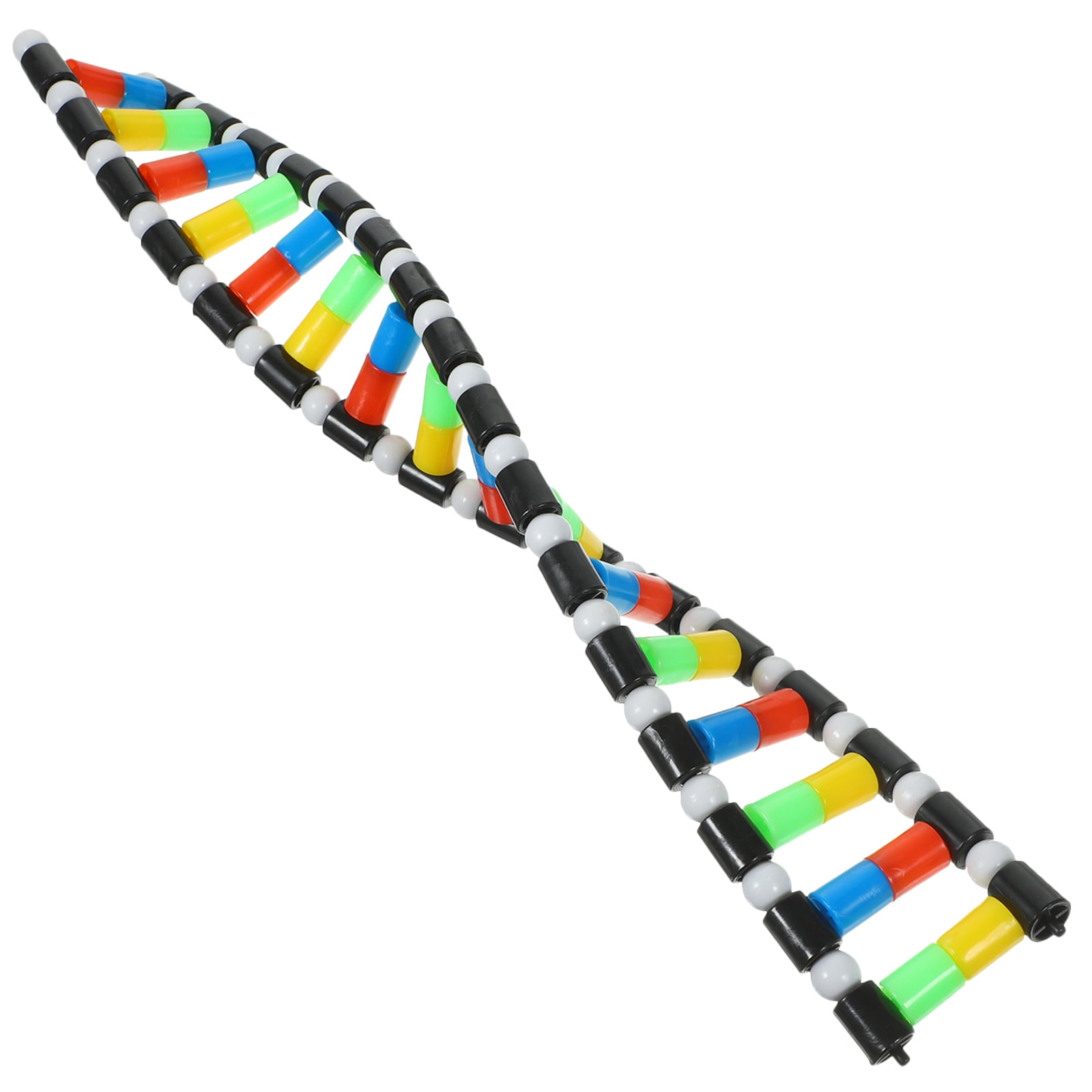 MLINS 6pcs DNA Model Double Helix Model DNA Display Component for ...
