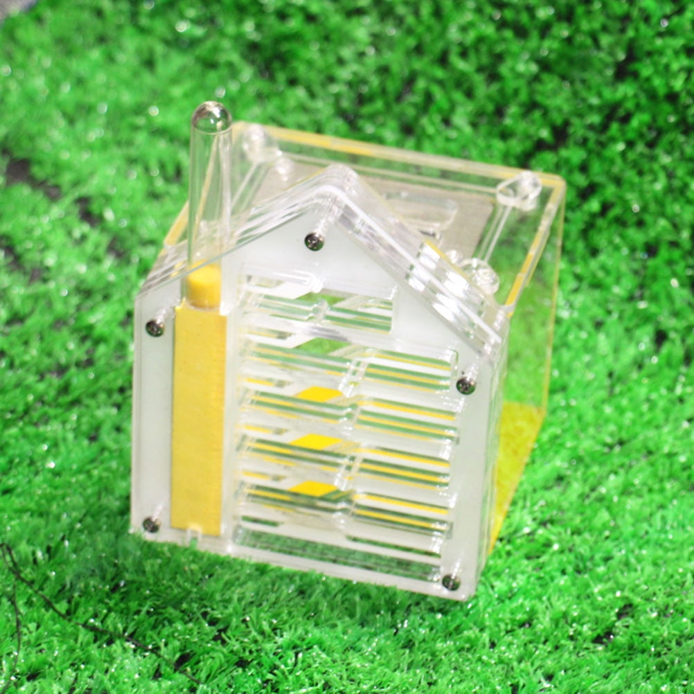 MLINS Acrylic Ant Nest Feeding and Breeding Box for Ants Easy Clean 5.5 ...