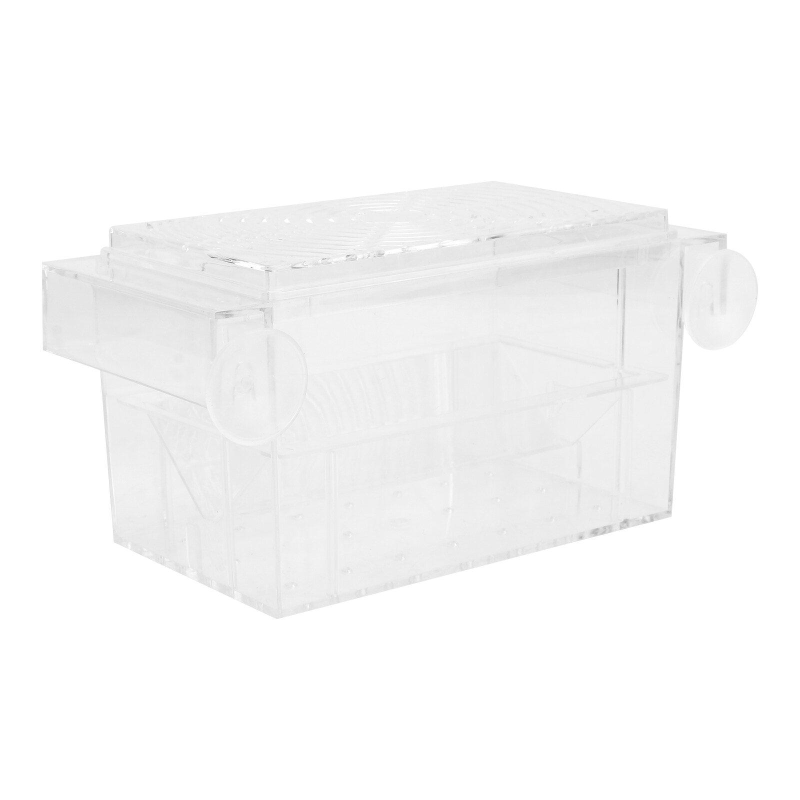 MLINS Aquariums Fish Tank Hatching Box Fish Fry Breeding Box Baby 16X8 ...