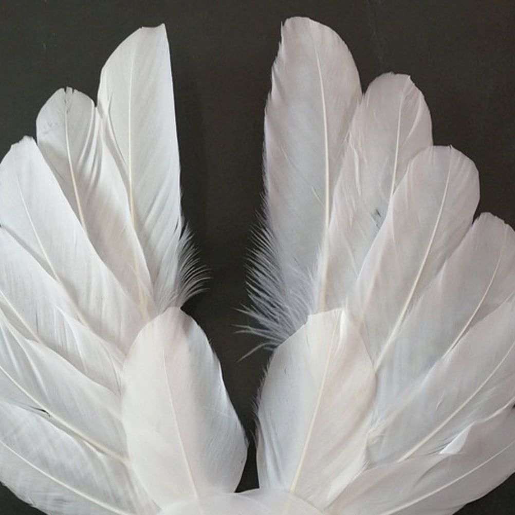 MLINS Assorted Color Plastic Cake Topper Wing Shape Inserts for ...