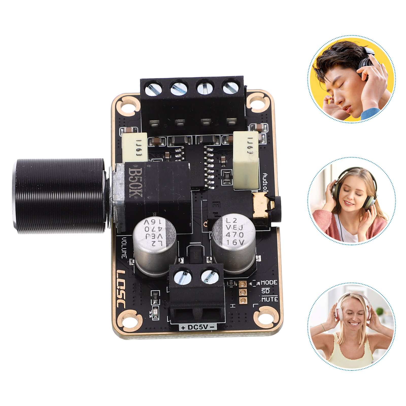 MLINS Audio Amplifier Board Digital Audio Amplifier Board Diy Sound ...