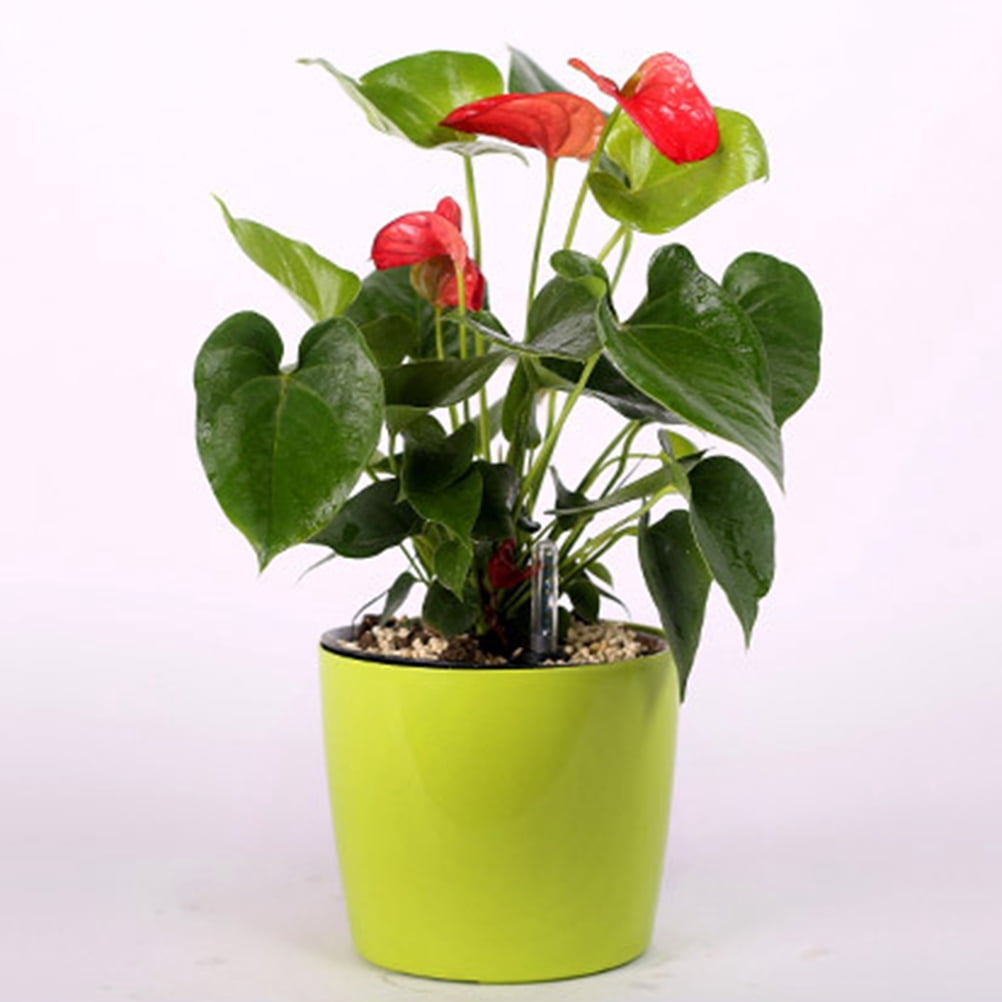 MLINS Automatic Water Absorbent Flower Pot Cactus Plant Planters Indoor ...