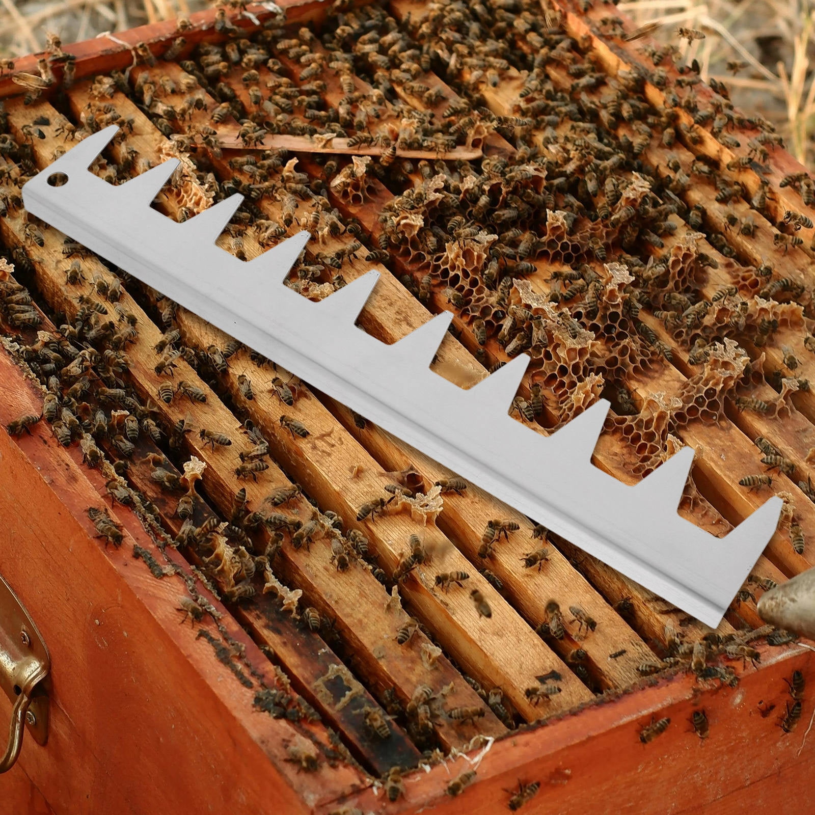 MLINS Beehive Frame Strip Stainless Steel Beehive Spacing Tool for ...