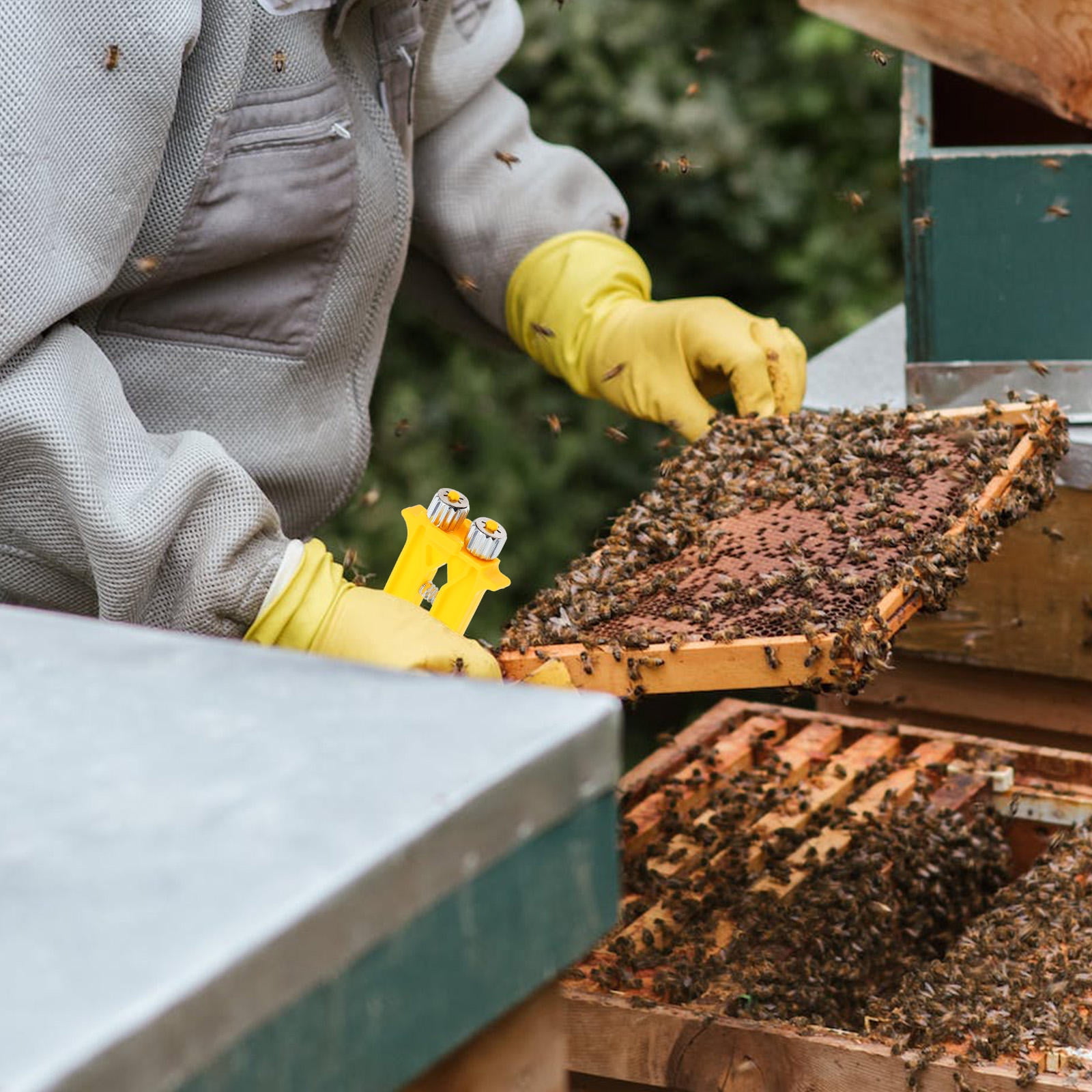 MLINS Beekeeping Hive Frame Bee Frame Wire Cable Tightener Tensioner ...