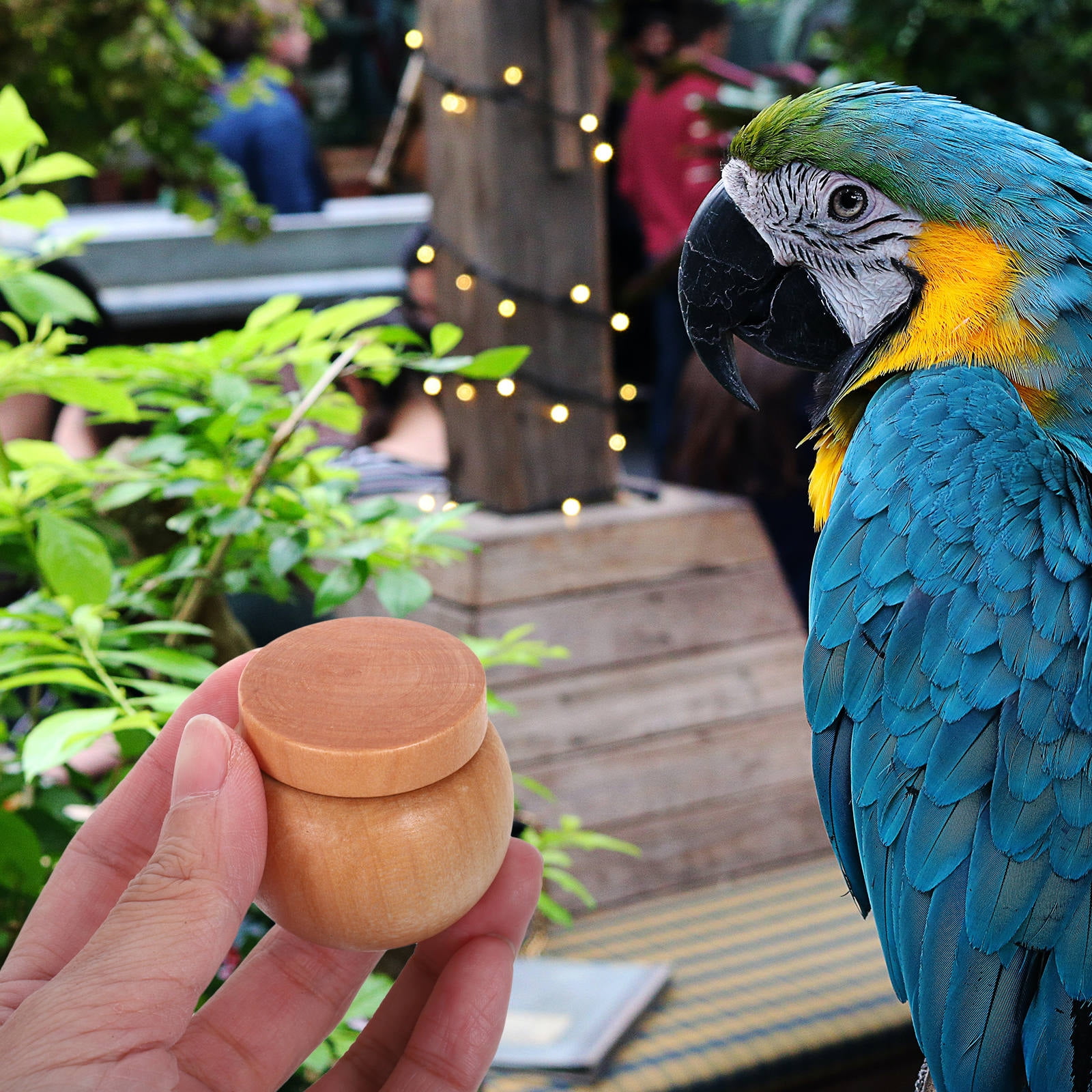 MLINS Bird Training Food Jar Parrot Handheld Feeder Bird Interactive ...