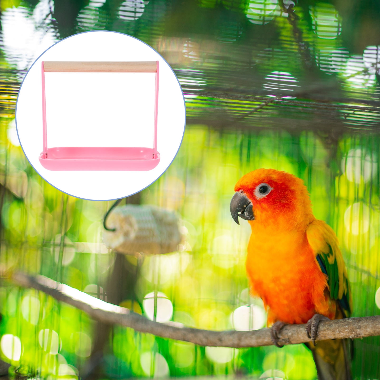 MLINS Bird Training Stand with Portable Tabletop Parrot Wood Perch and ...